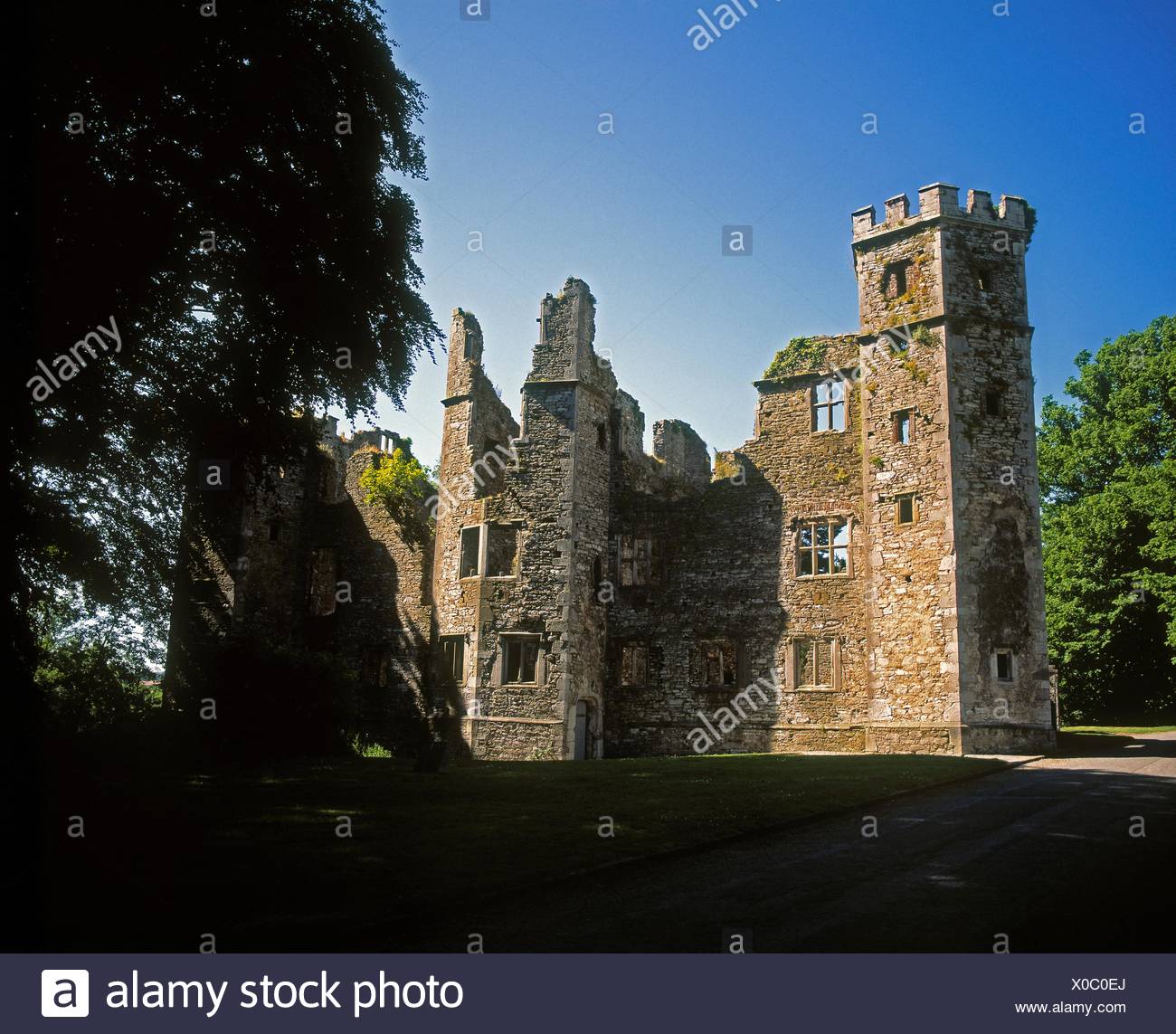 Mallow Cork Stock Photos & Mallow Cork Stock Images - Alamy