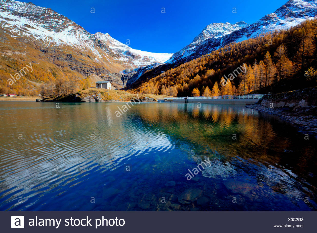 Alp Grum High Resolution Stock Photography and Images - Alamy