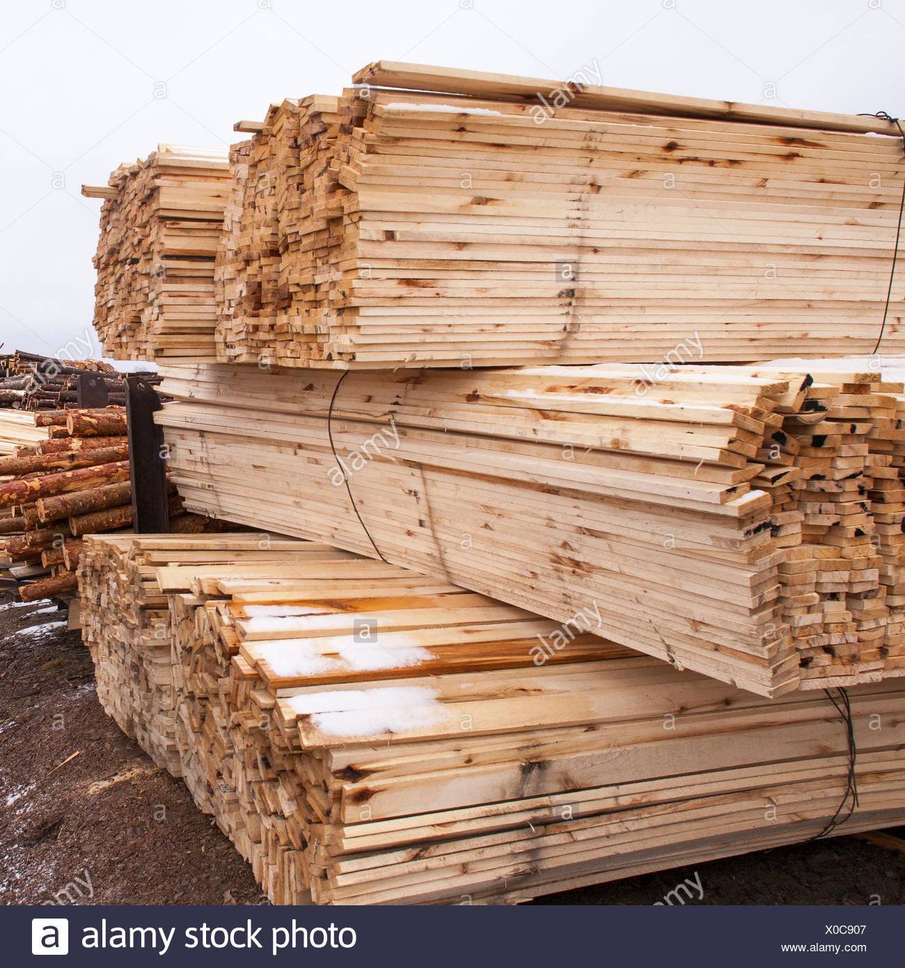 Timber Trunk High Resolution Stock Photography and Images - Alamy