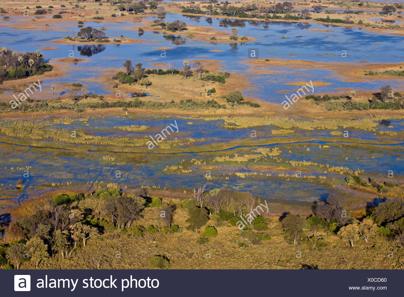 Okavango River Stock Photos & Okavango River Stock Images - Alamy