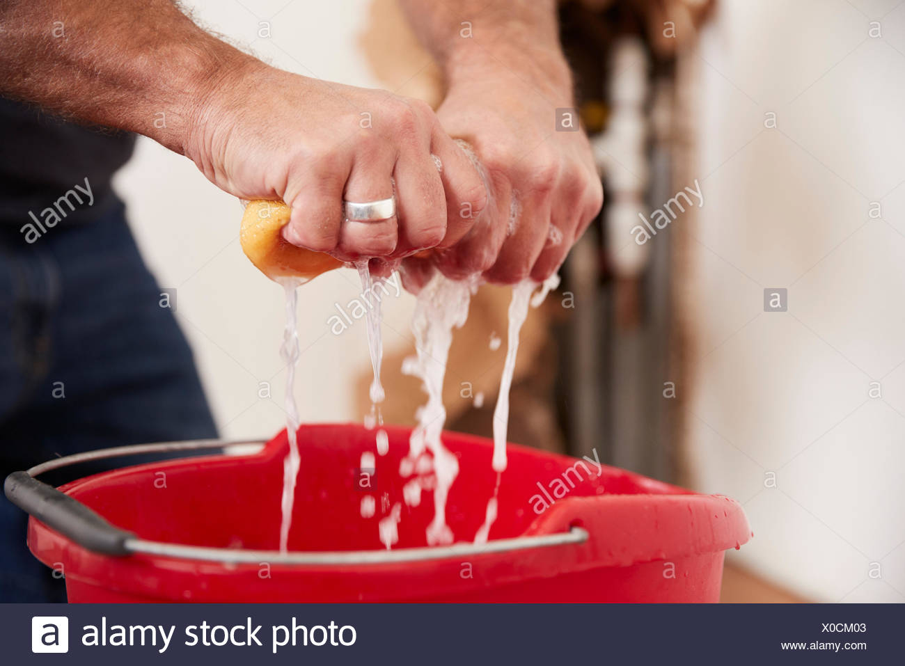 Water Bucket With Sponge Stock Photos & Water Bucket With Sponge Stock ...