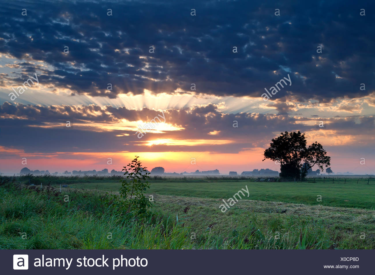 Green Pasture Sunrise High Resolution Stock Photography and Images - Alamy