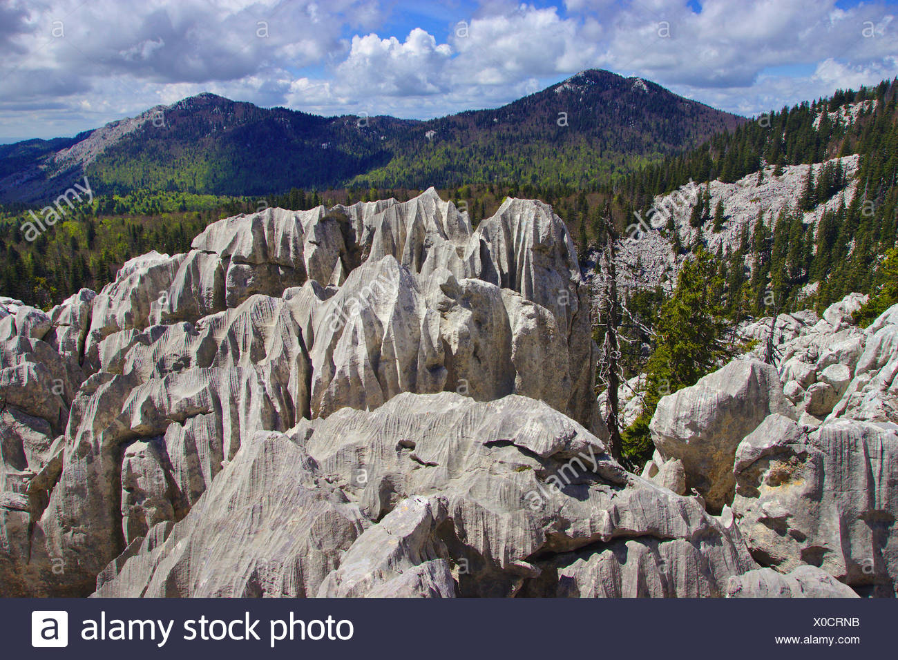 Karren Formation High Resolution Stock Photography and Images - Alamy