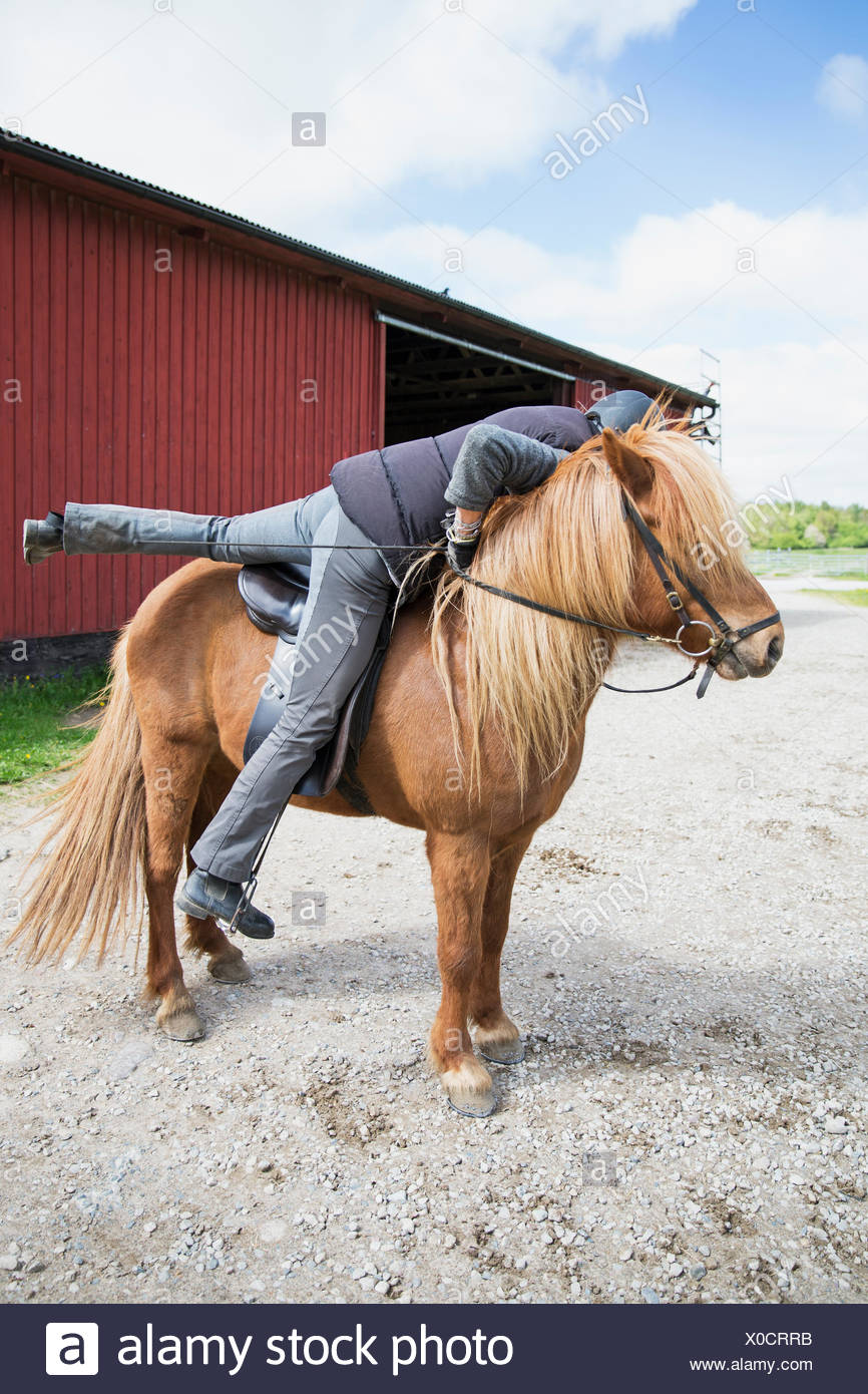 Mounting Horse High Resolution Stock Photography and Images - Alamy