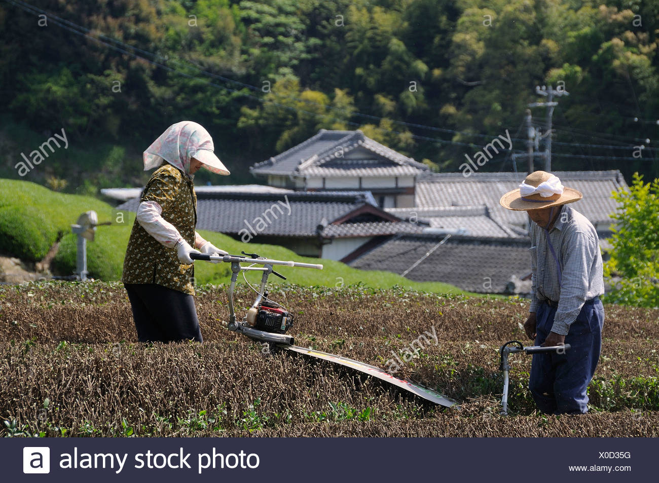 Japan Working Women High Resolution Stock Photography and Images - Alamy