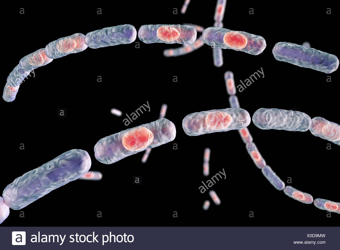 Disease Causing Micro Organisms High Resolution Stock Photography and ...