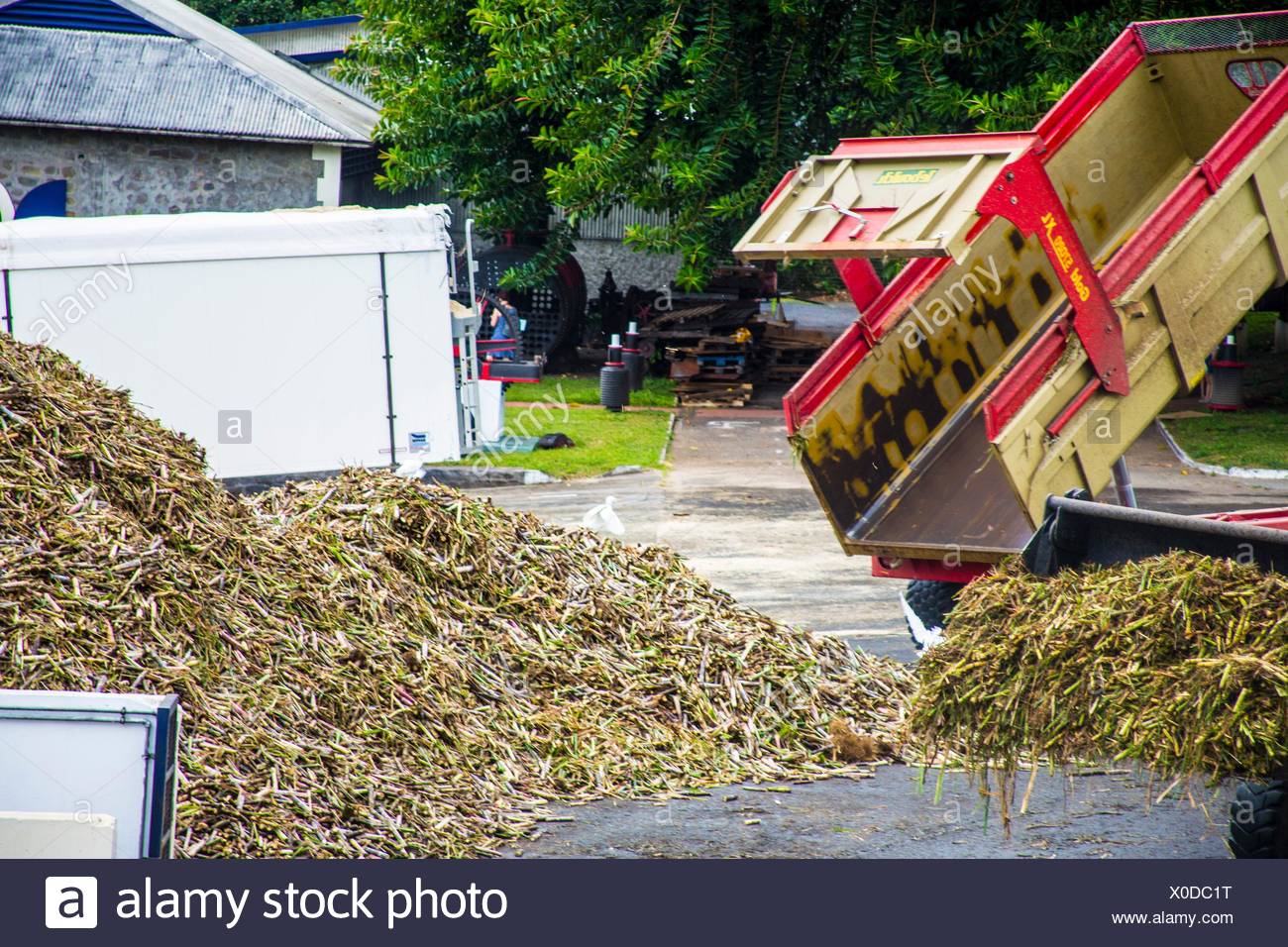 Sugar Cane Truck High Resolution Stock Photography and Images - Alamy