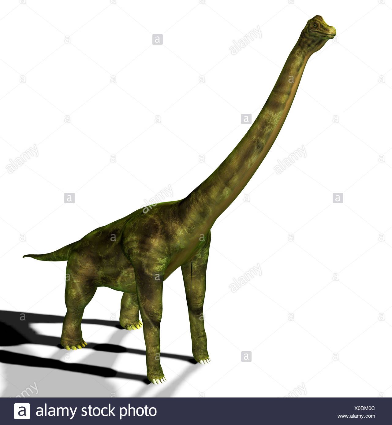 Brachiosaurus High Resolution Stock Photography and Images - Alamy