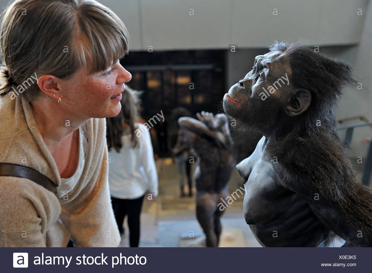 Female Australopithecus Afarensis High Resolution Stock Photography and Images - Alamy