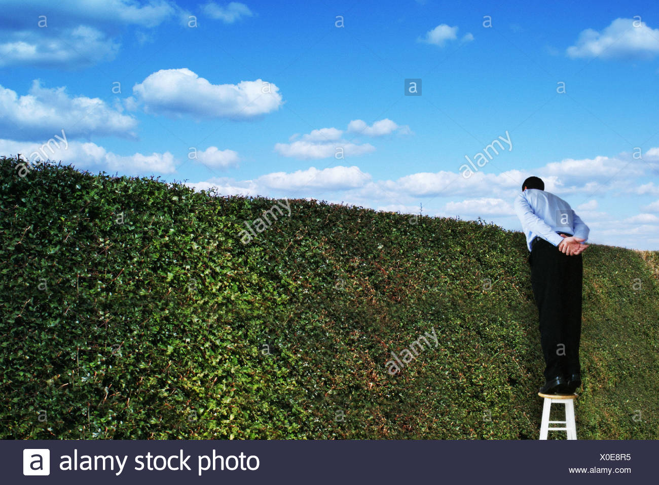 Over The Hedge Stock Photos & Over The Hedge Stock Images - Alamy