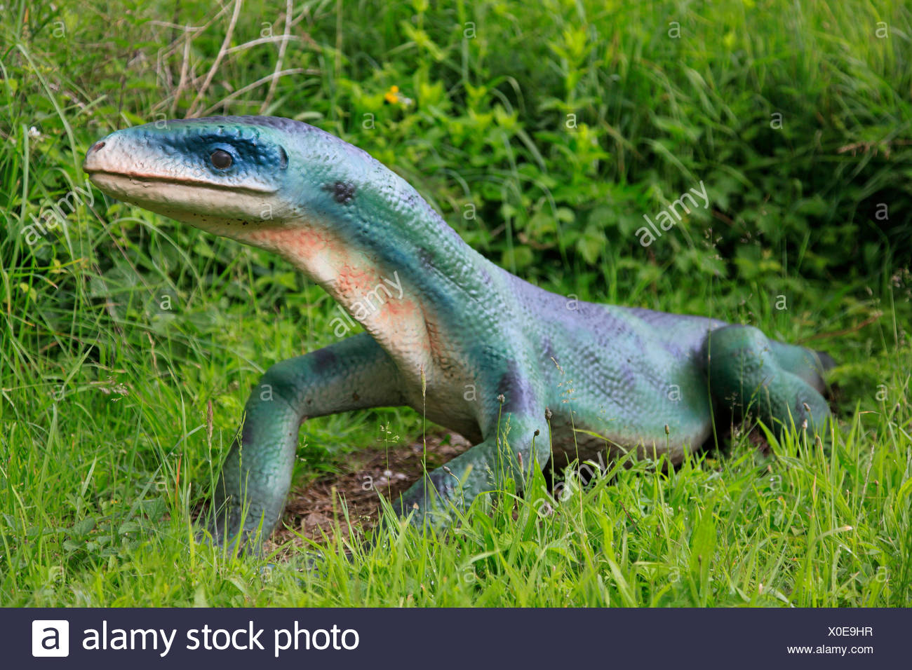 Early Reptile Protorosaurus High Resolution Stock Photography and ...