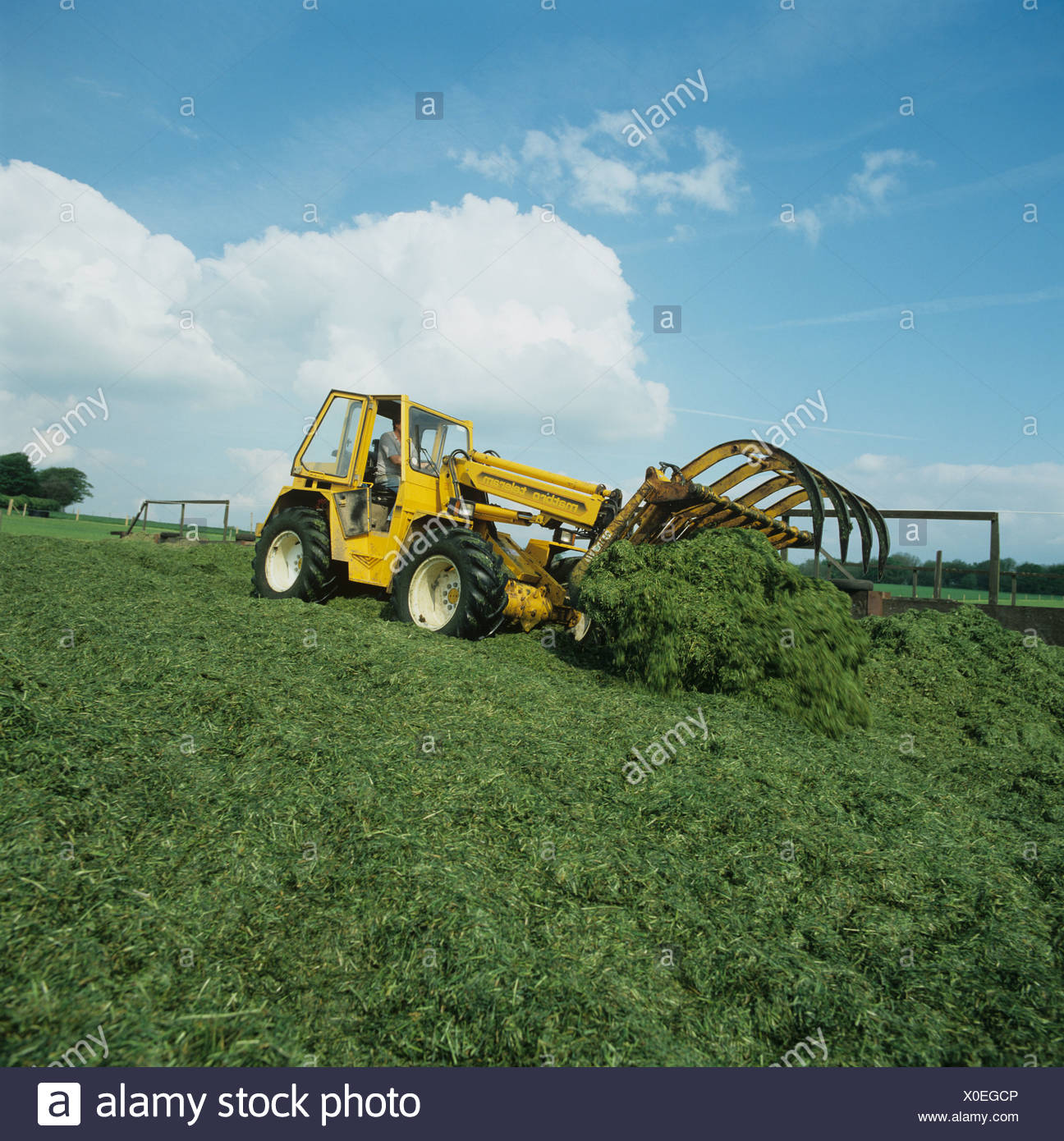 Grass Silage Clamp High Resolution Stock Photography and Images - Alamy