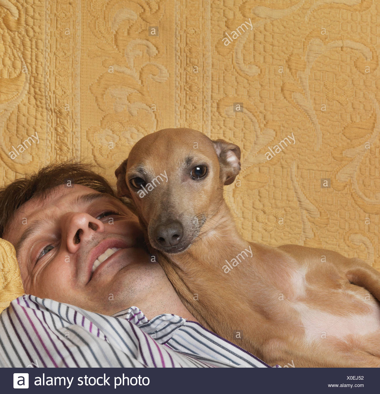 Human Cuddling Animal High Resolution Stock Photography and Images - Alamy