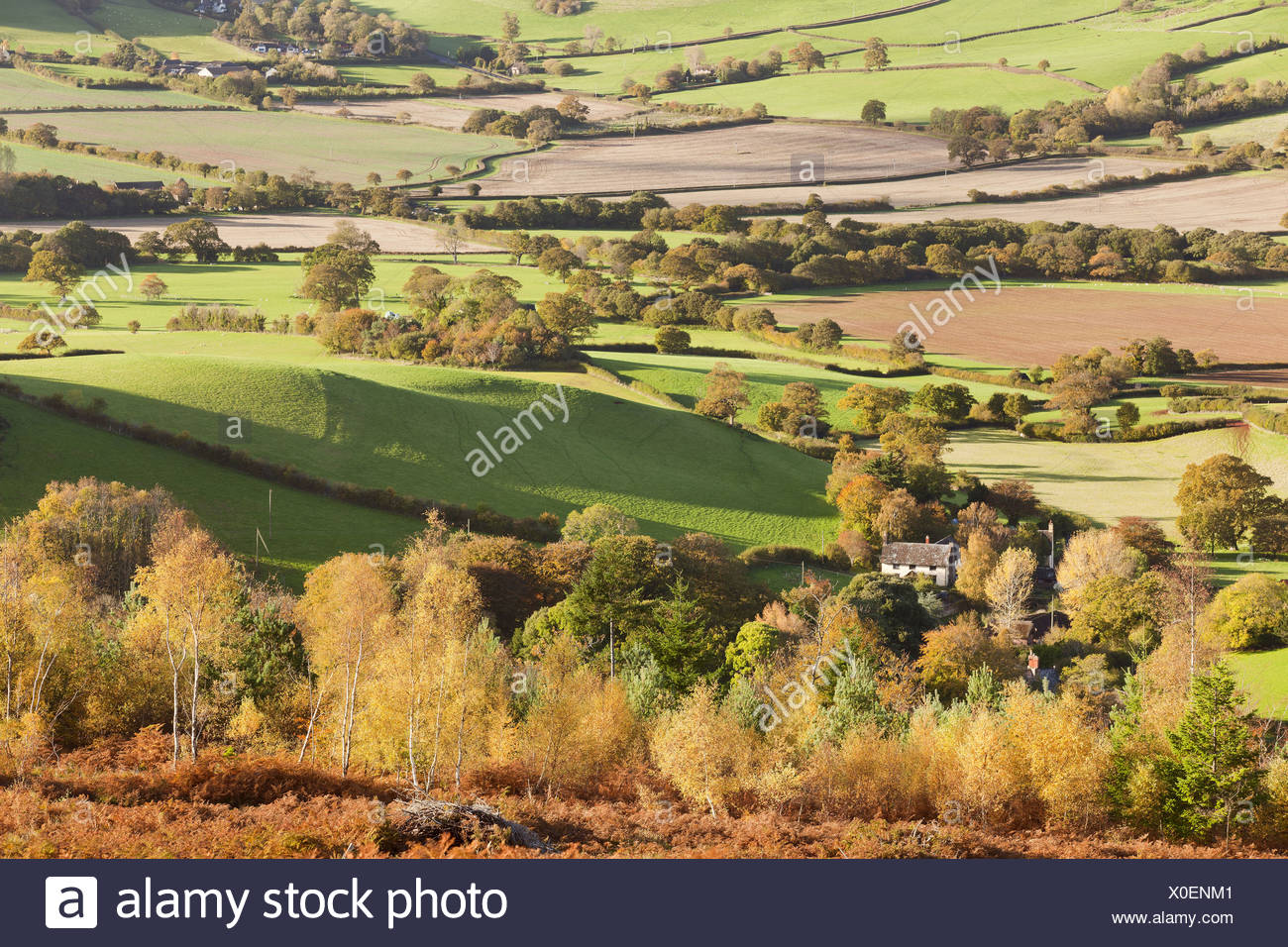 Luccombe Farm High Resolution Stock Photography and Images - Alamy