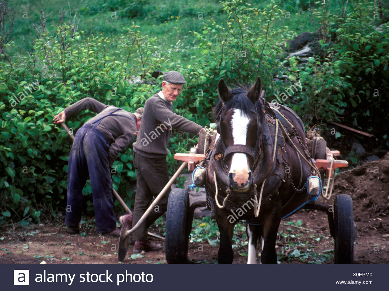 Horse And Cart Ireland High Resolution Stock Photography and Images - Alamy