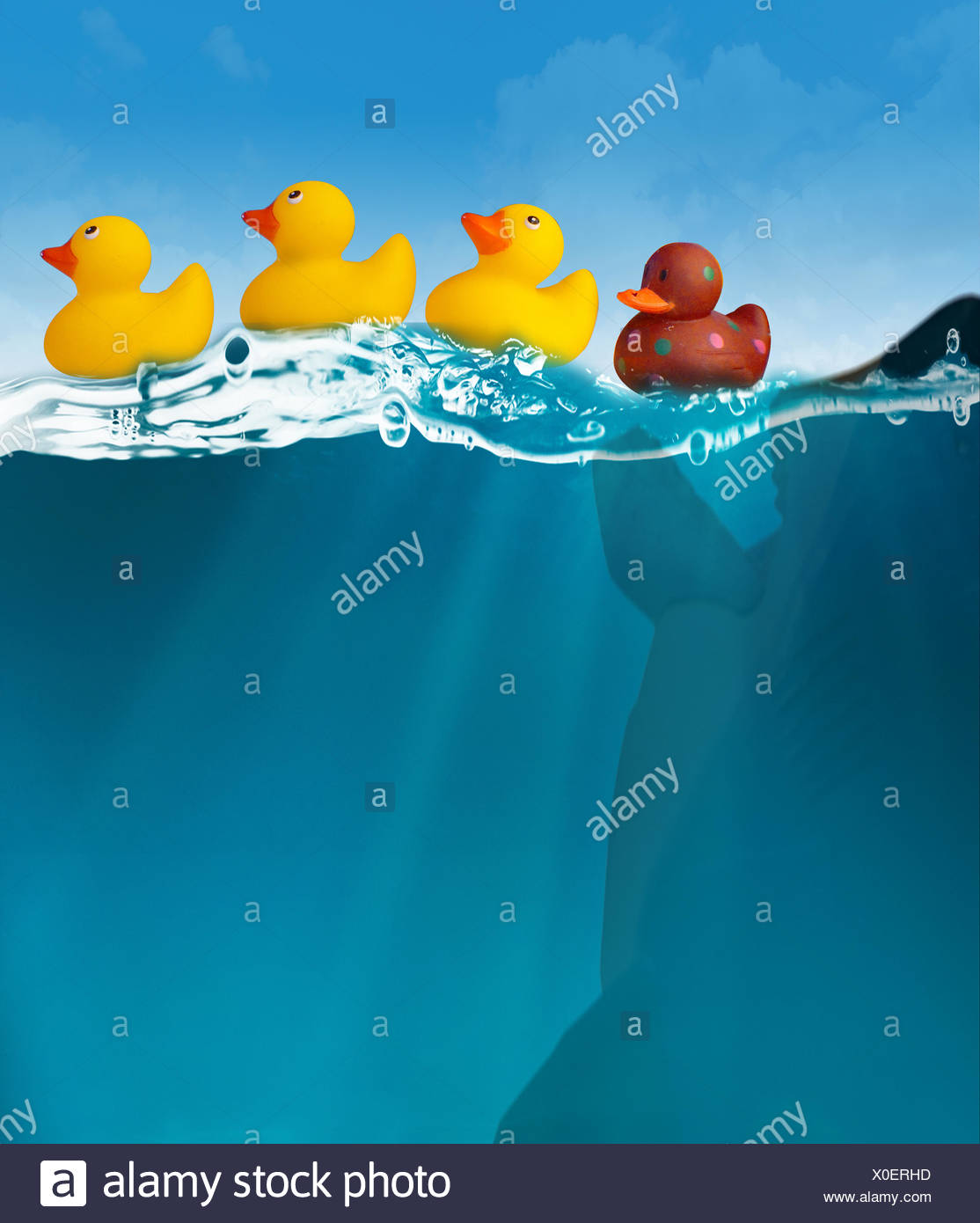 Yellow Plastic Ducks Duck High Resolution Stock Photography and Images ...