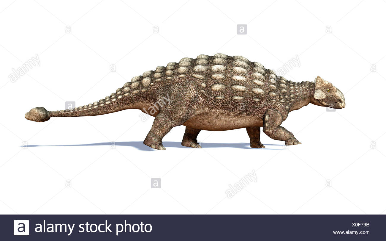 Dinosaur Scale High Resolution Stock Photography and Images - Alamy