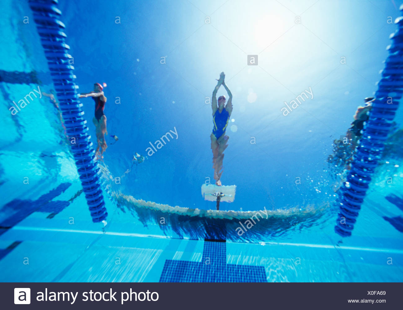 Diving Into Swimming Pool Stock Photos & Diving Into Swimming Pool ...