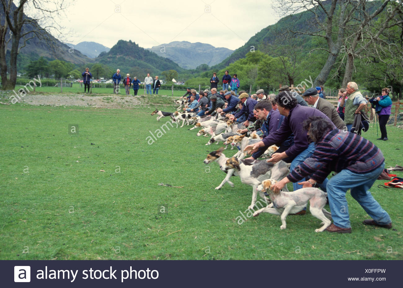 Hound Trailing Cumbria High Resolution Stock Photography and Images - Alamy