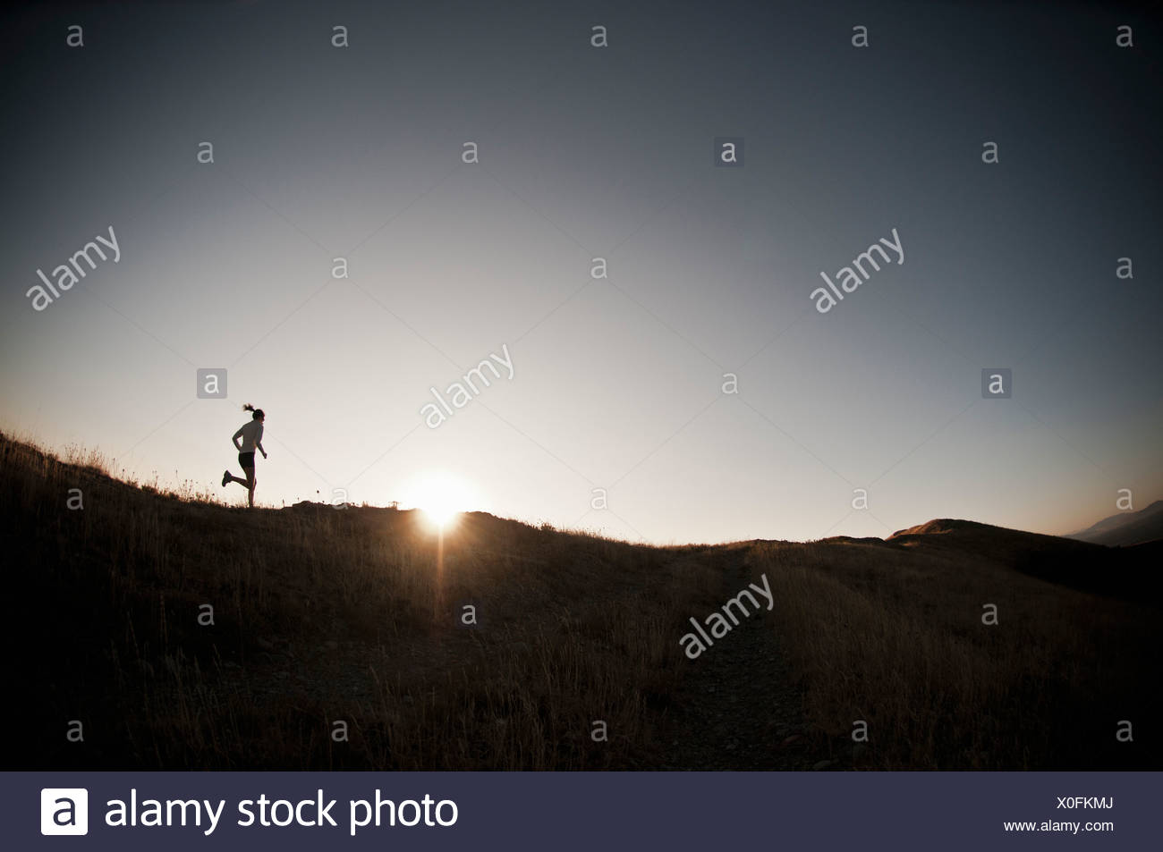 Back Path High Resolution Stock Photography and Images - Alamy