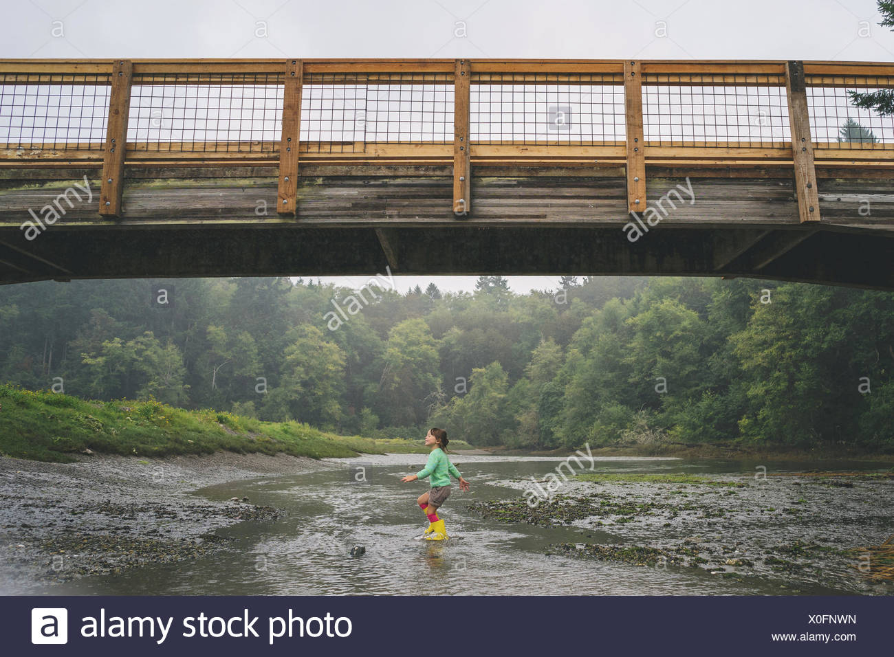 People Playing Bridge Stock Photos & People Playing Bridge Stock Images ...