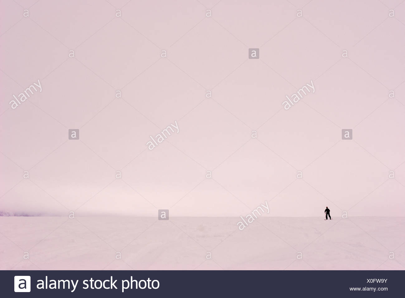 Blizzard With Whiteout Conditions High Resolution Stock Photography and ...