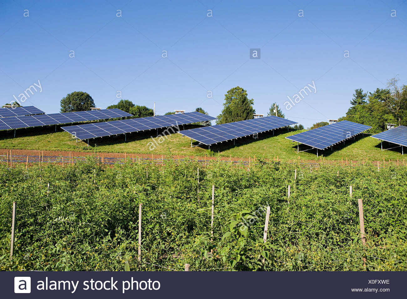 Solar Plant Solar Panels High Resolution Stock Photography and Images ...