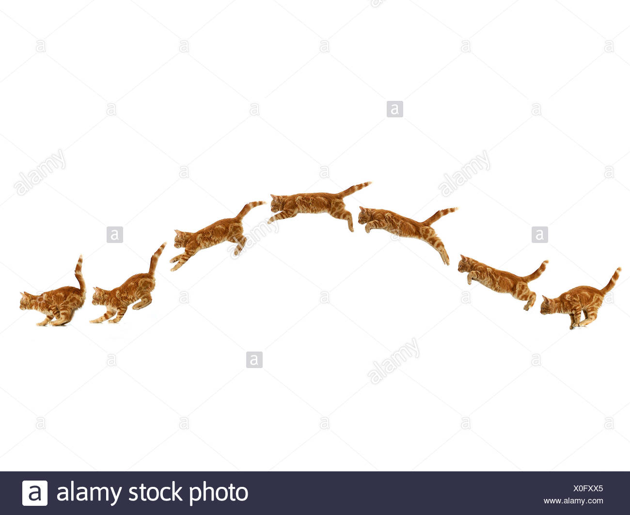 Motion Sequence High Resolution Stock Photography and Images - Alamy
