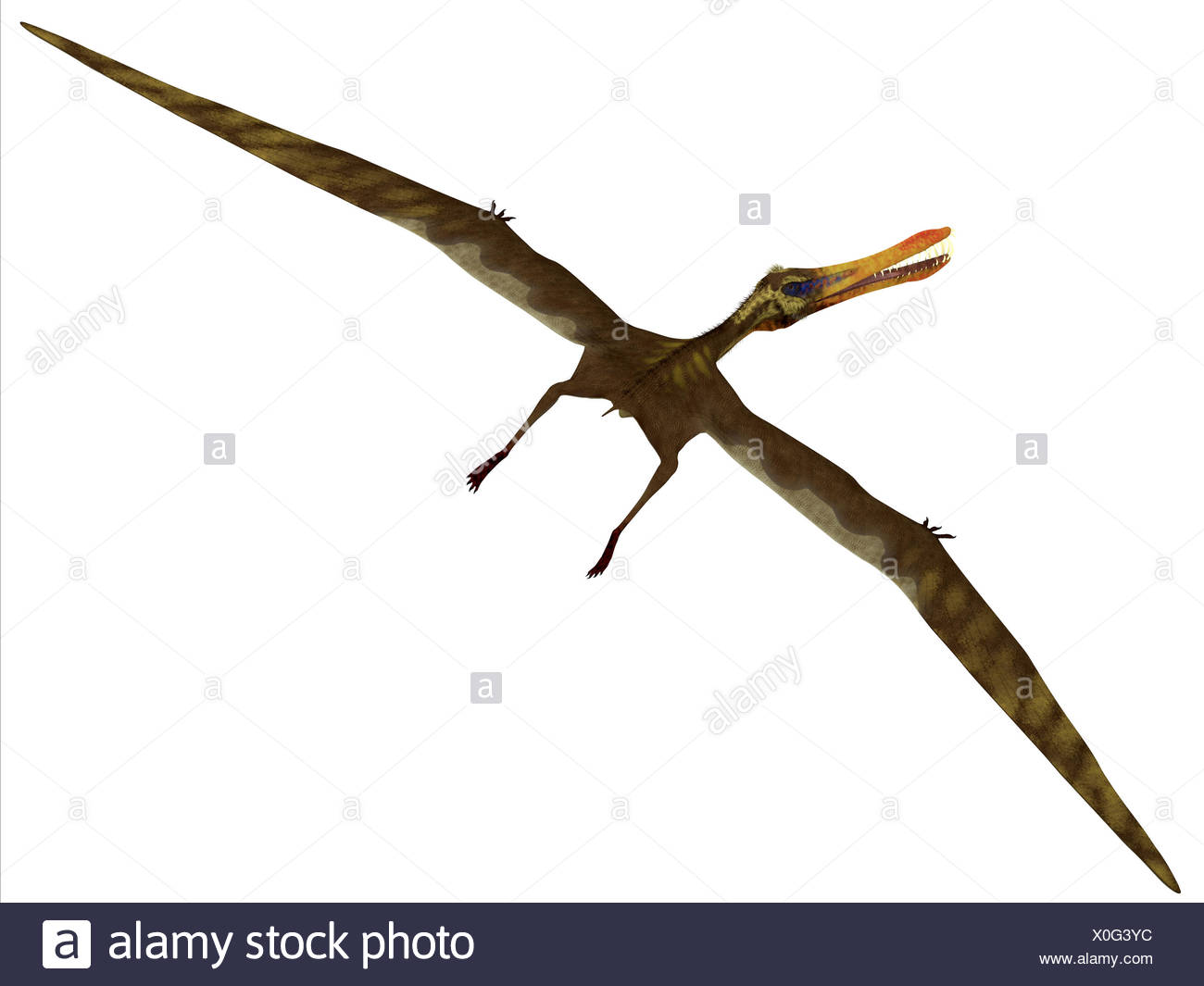 Pterosaur Flight High Resolution Stock Photography and Images - Alamy