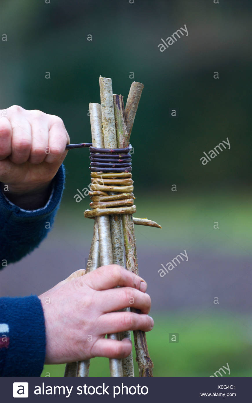 Willow Rods Stock Photos & Willow Rods Stock Images - Alamy