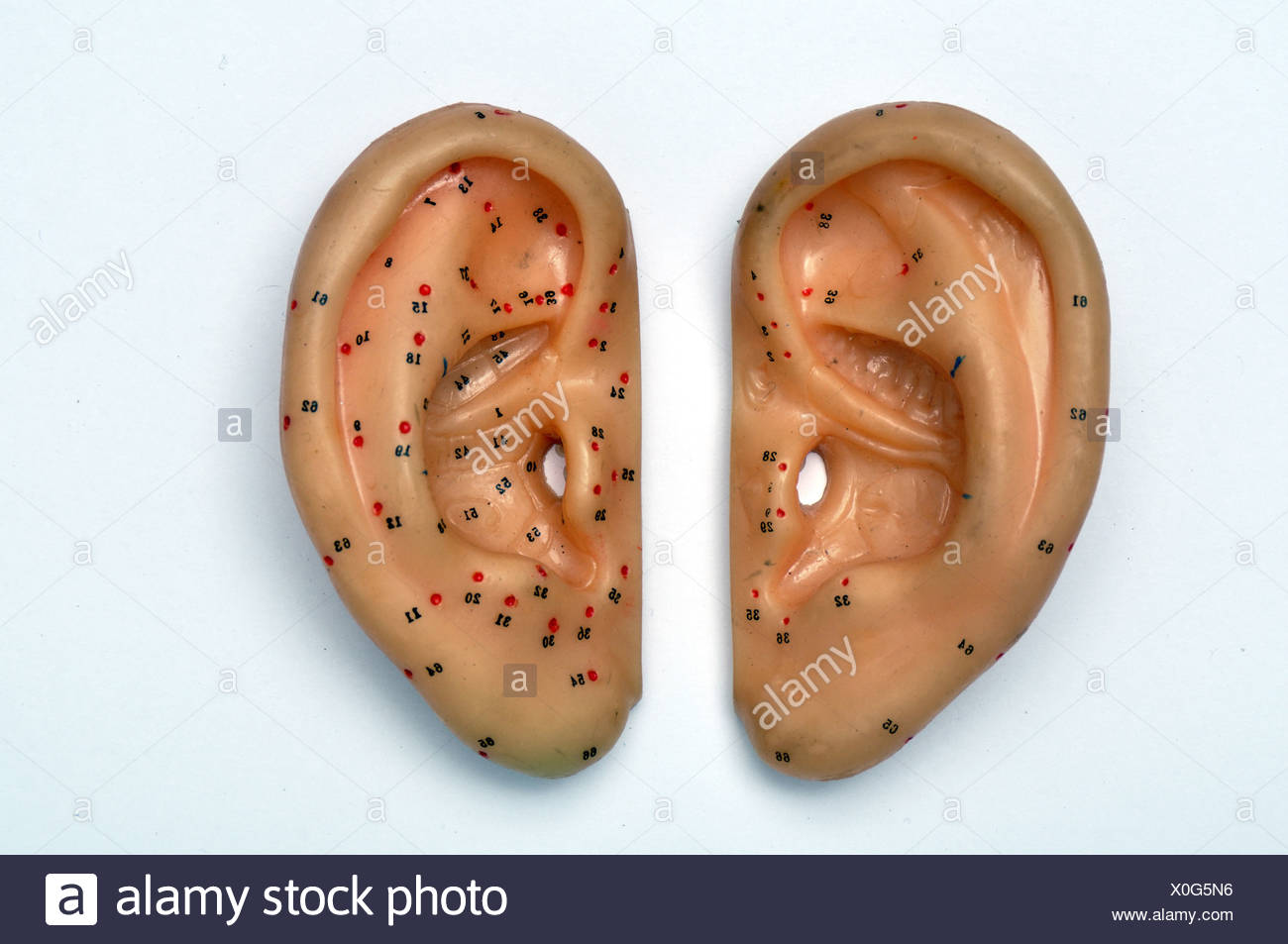 Auriculotherapy High Resolution Stock Photography and Images - Alamy