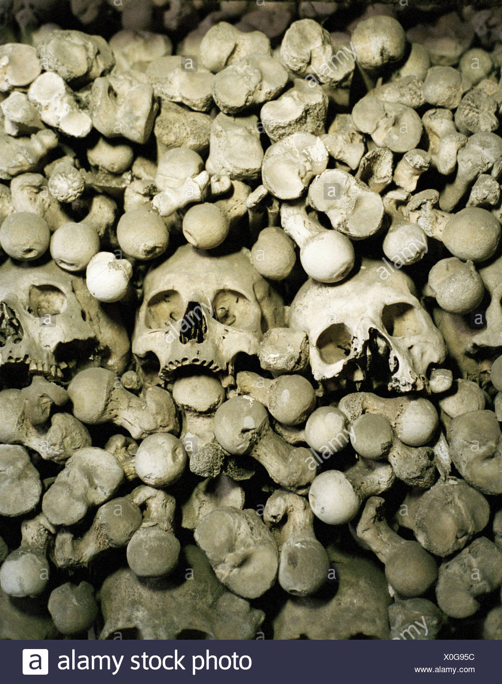 Human Skulls And Bones High Resolution Stock Photography and Images - Alamy