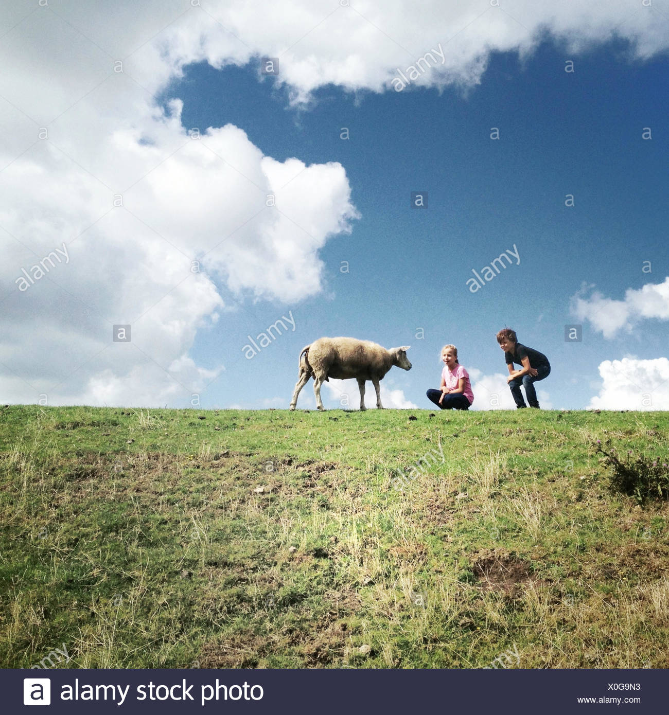 Two Children Sheep Stock Photos & Two Children Sheep Stock Images - Alamy