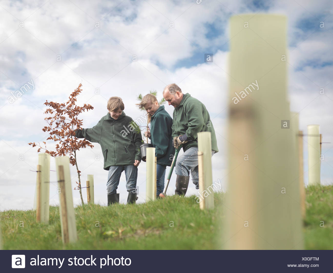 Tree Planting Day High Resolution Stock Photography and Images - Alamy