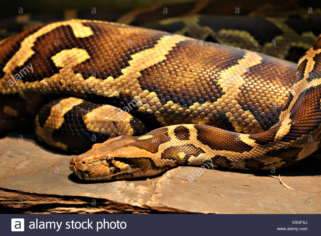 Sdostasien High Resolution Stock Photography and Images - Alamy