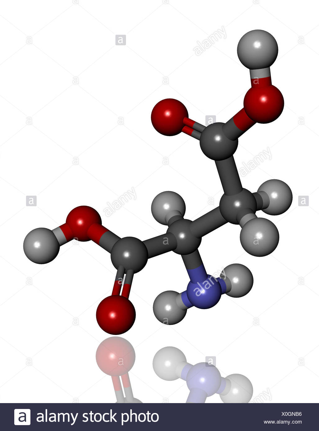 Aspartate Stock Photos & Aspartate Stock Images - Alamy