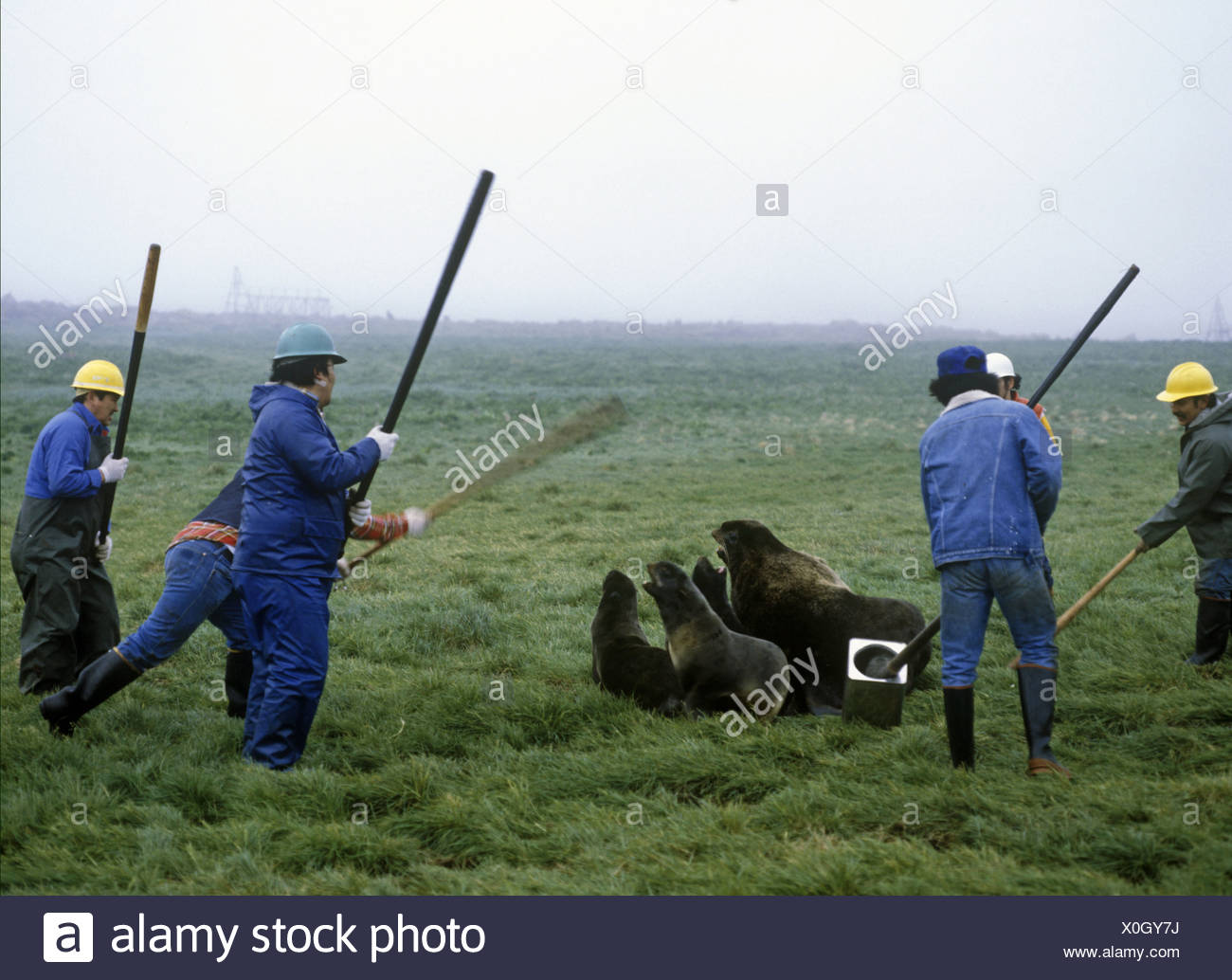 Men Hunt High Resolution Stock Photography and Images - Alamy