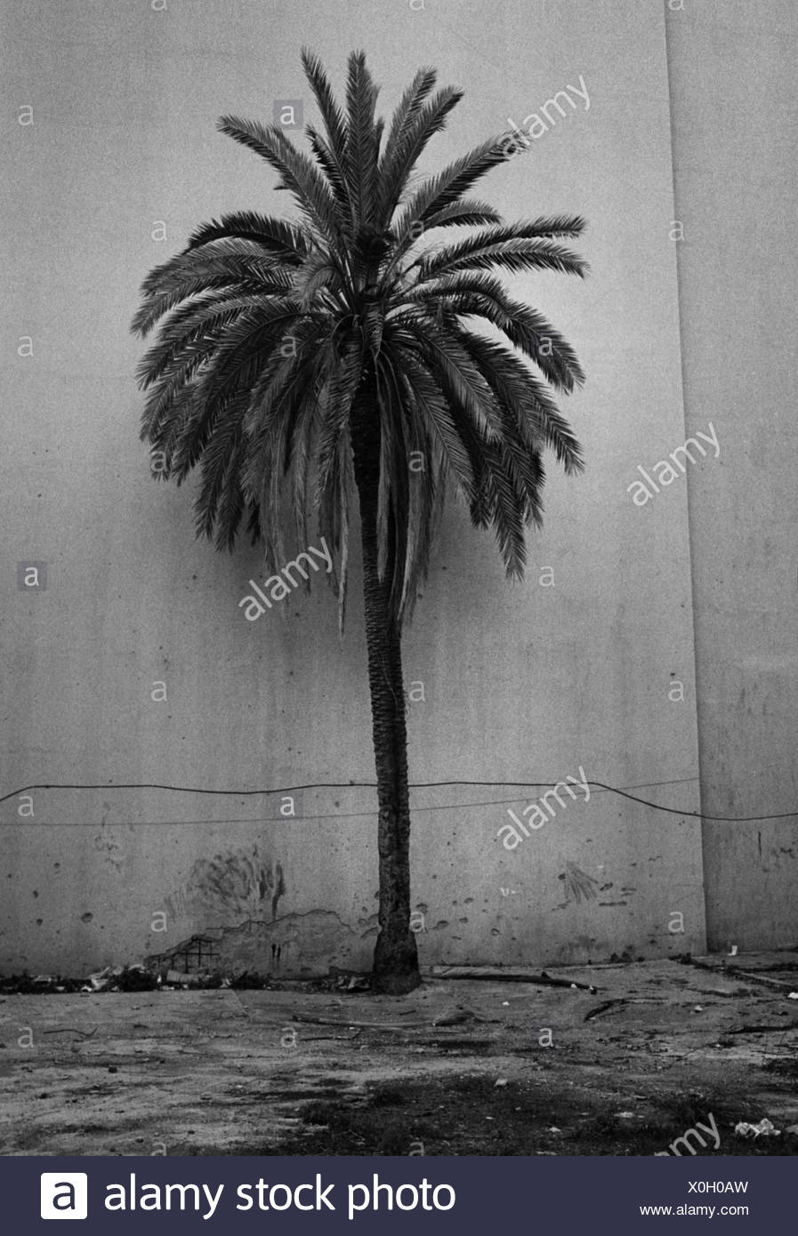 Lebanon Black and White Stock Photos & Images - Alamy
