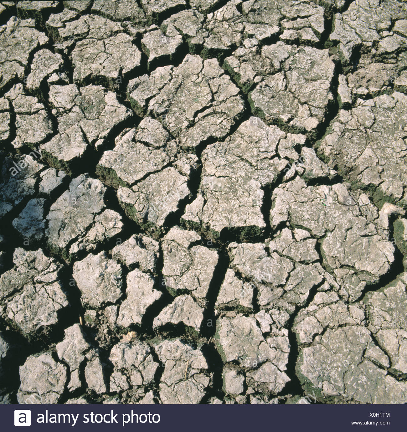 Drought High Resolution Stock Photography and Images - Alamy