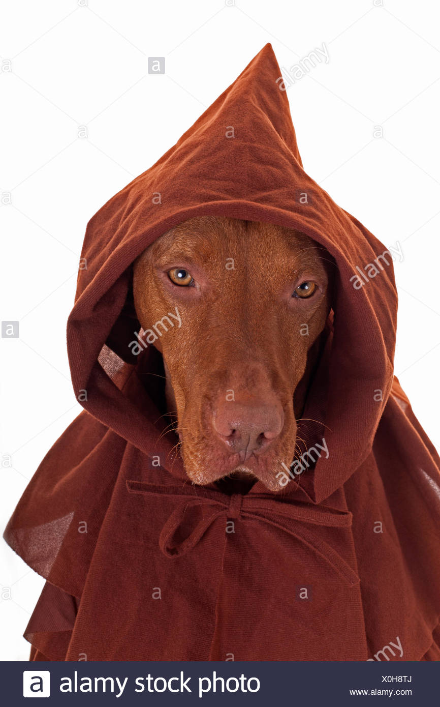 Medieval Monk High Resolution Stock Photography and Images - Alamy
