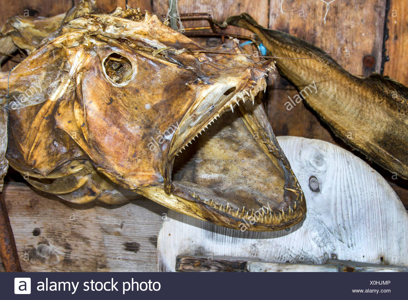 Fish Cod Open Mouth High Resolution Stock Photography and Images - Alamy