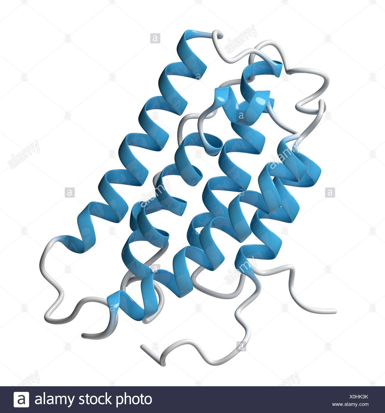 Alpha Helices High Resolution Stock Photography and Images - Alamy