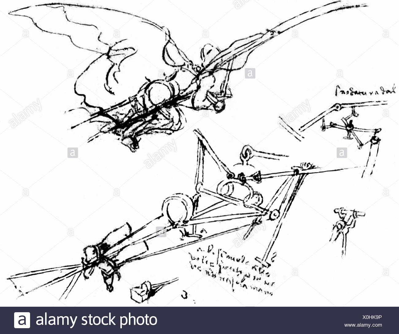 Da Vinci Flying Machine Stock Photos & Da Vinci Flying Machine Stock ...