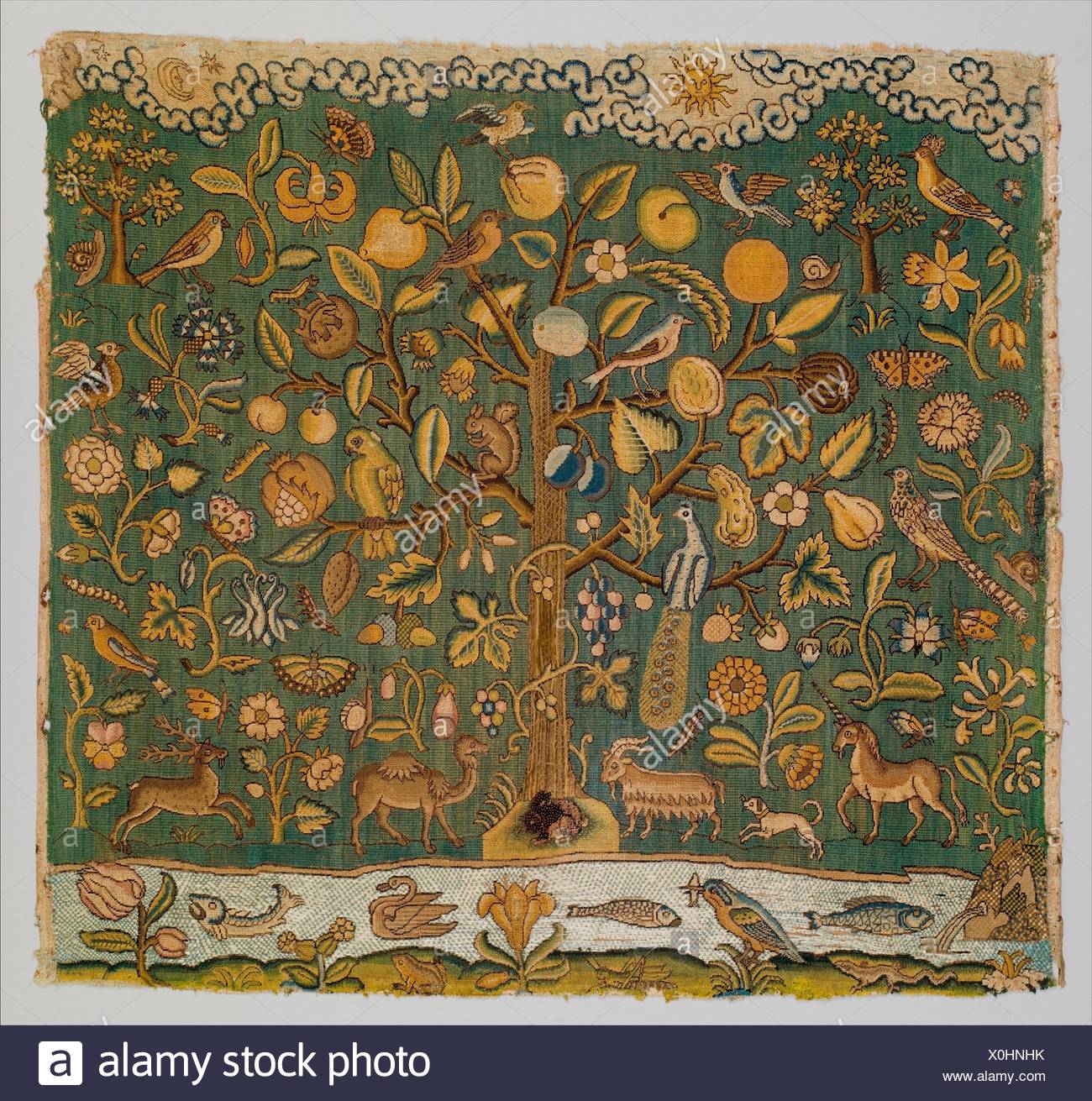 British Tree Of Life High Resolution Stock Photography and Images - Alamy