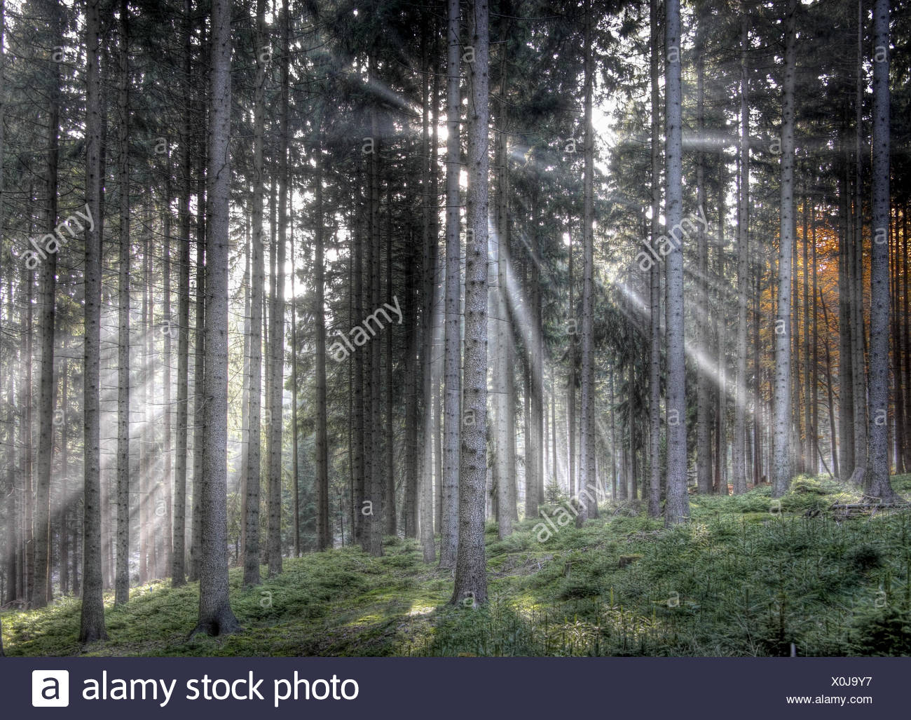 Langer Berg High Resolution Stock Photography and Images - Alamy