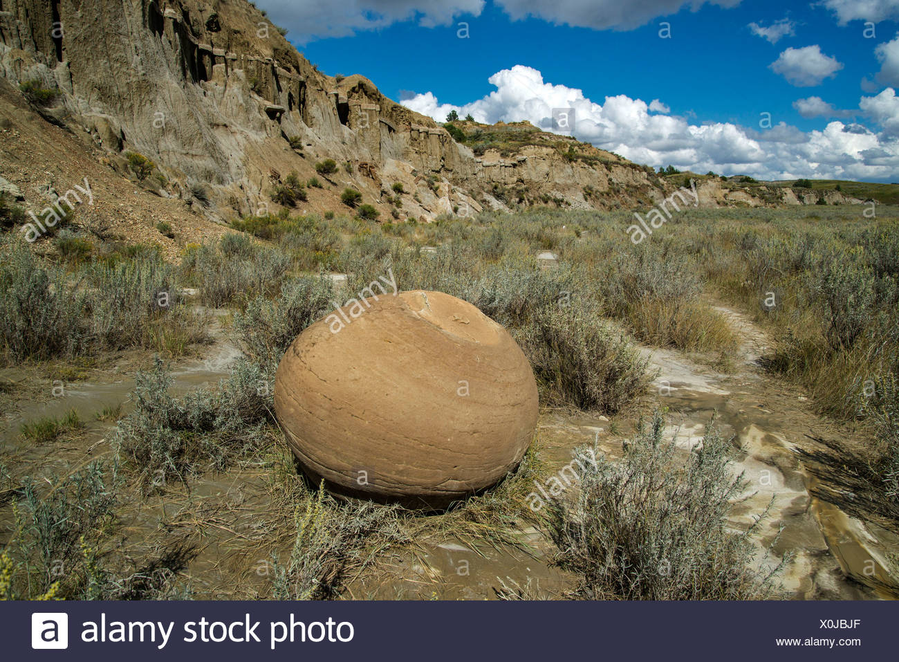 Concretion High Resolution Stock Photography and Images - Alamy