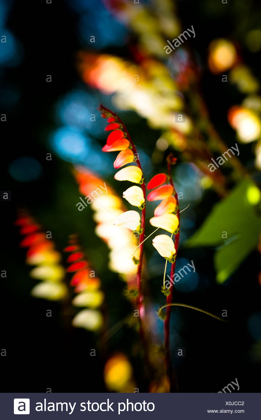 Day Shapes High Resolution Stock Photography and Images - Alamy