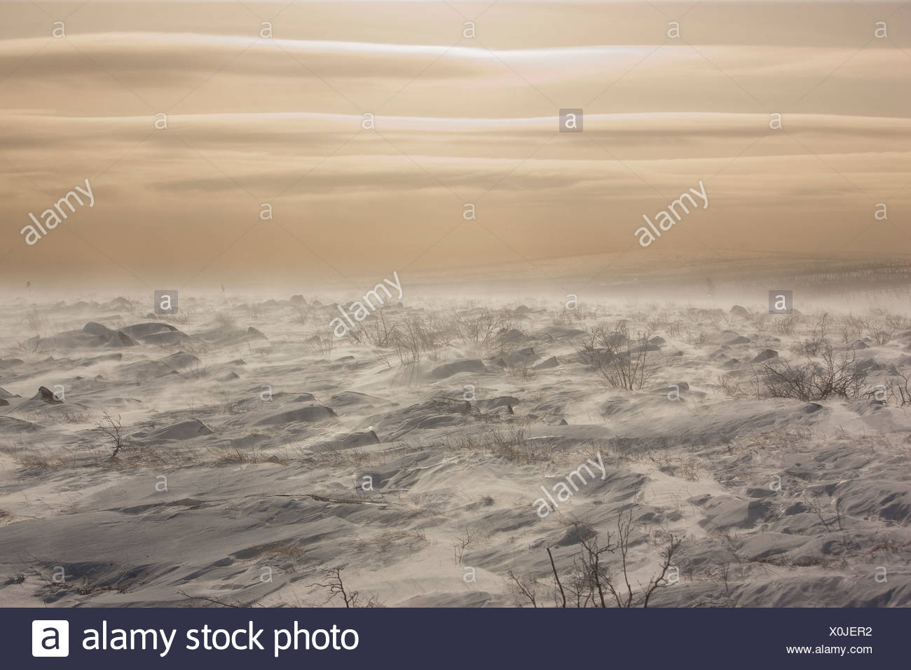 High Winds Stock Photos & High Winds Stock Images - Alamy
