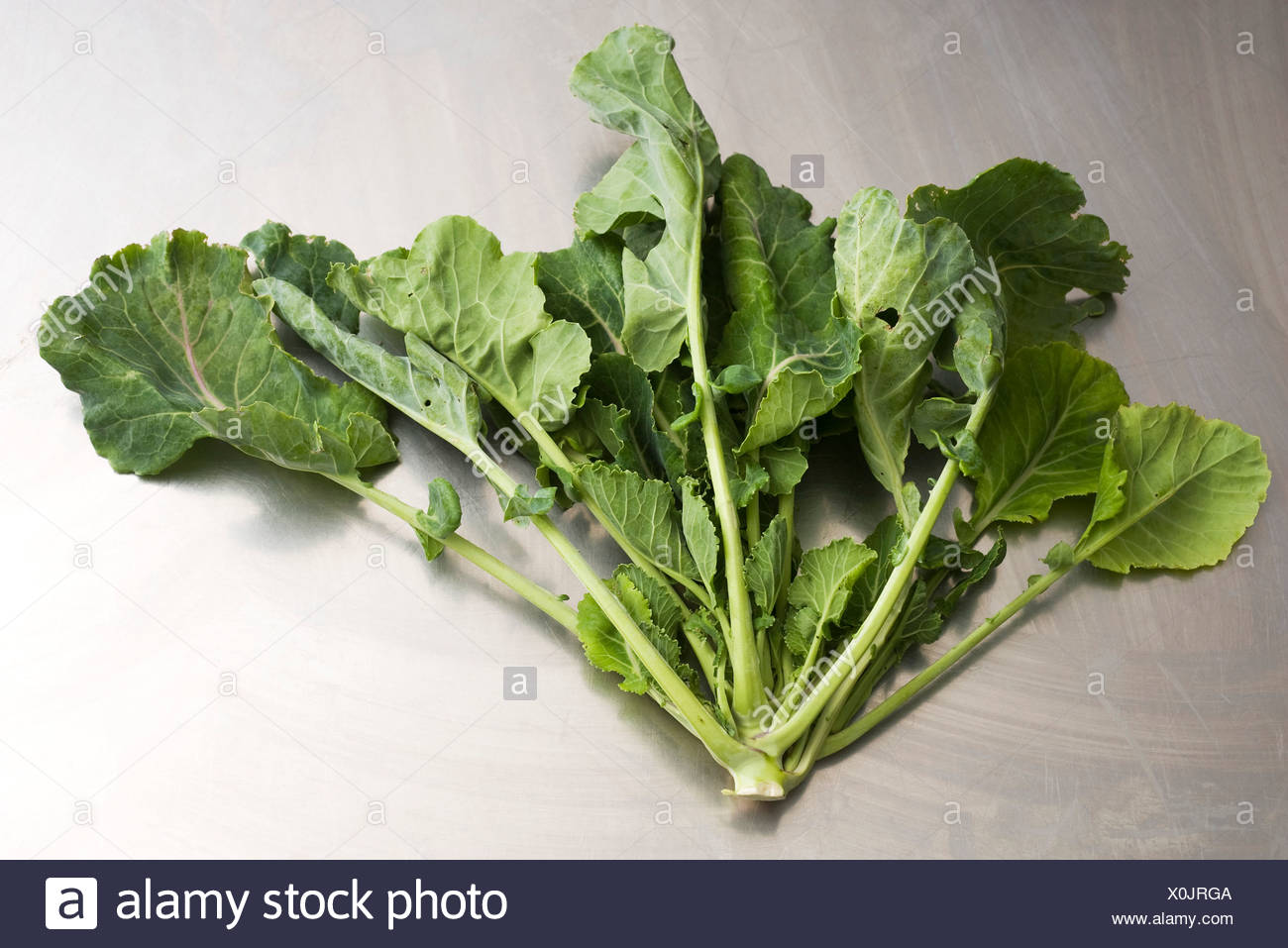 Mustard Greens High Resolution Stock Photography and Images - Alamy