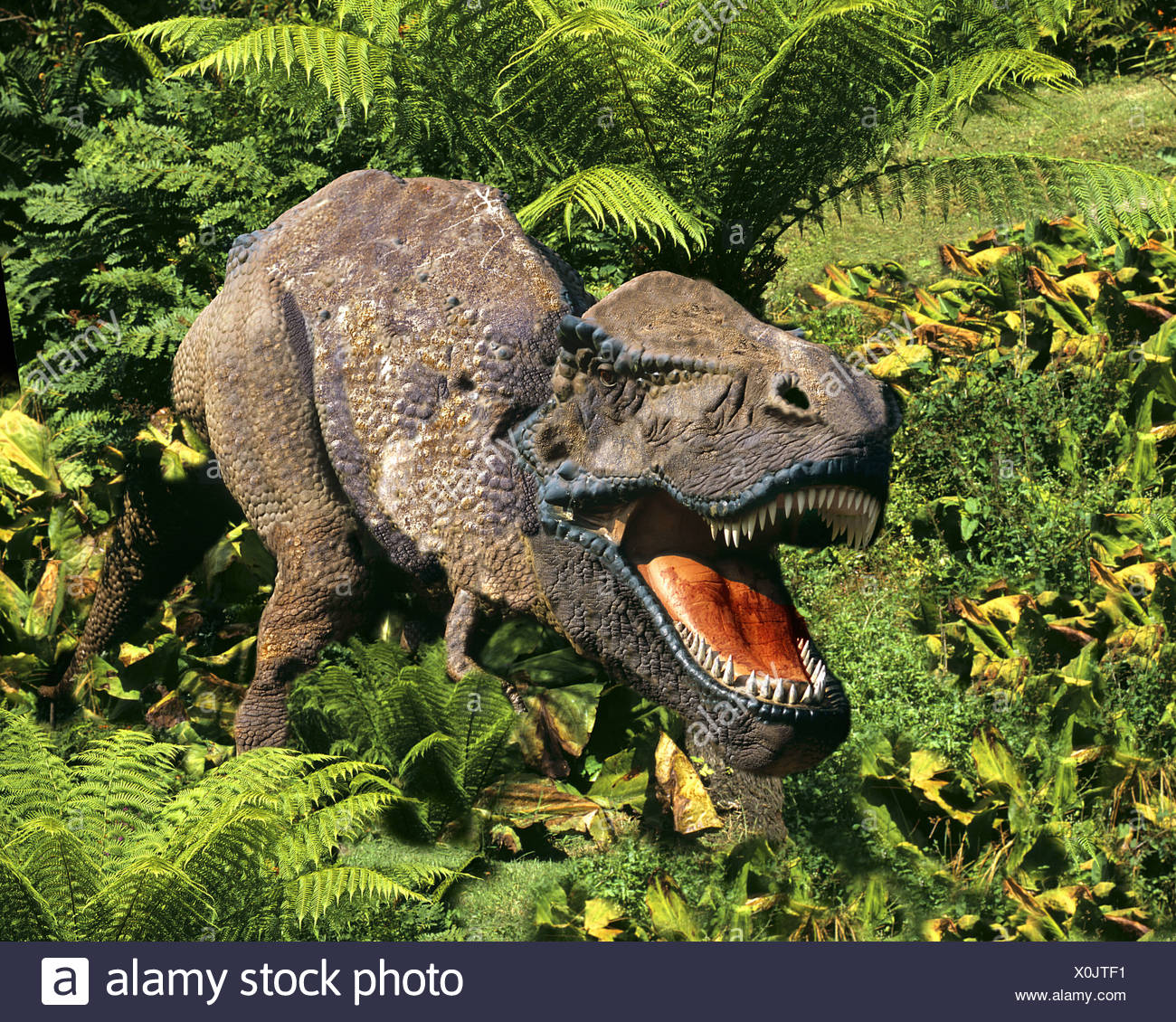 Tyrannosaurus Predator High Resolution Stock Photography and Images - Alamy
